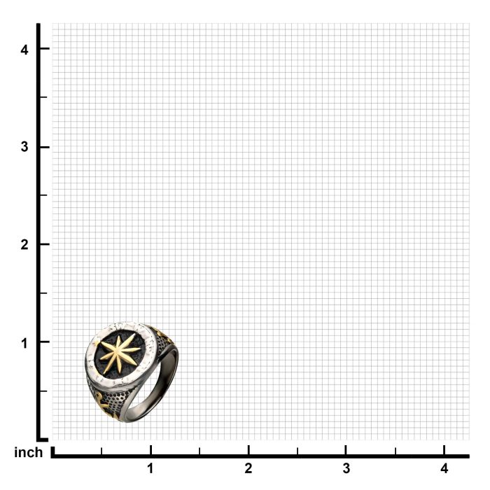 INOX Compass Rose Signet Ring - Body Tune Plus